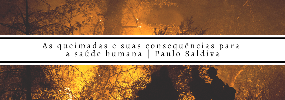As queimadas e suas consequências para a saúde humana - Blog da Editora Contexto